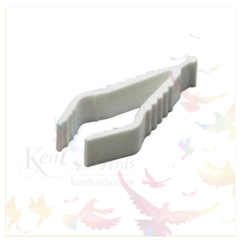 Cuttlebone Holder - Kentbirds