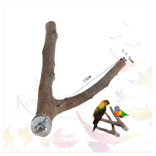 Wood Java Perch - Kentbirds