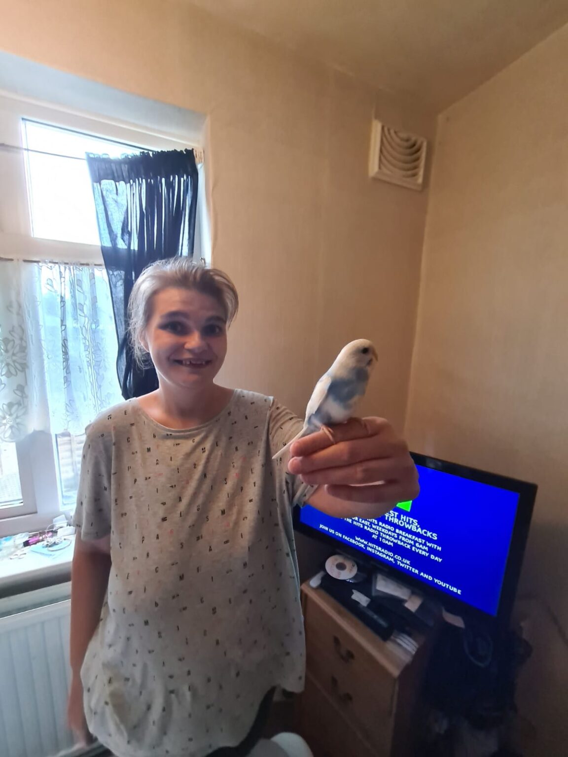 Kentbirds - Best Bird Breeder In London