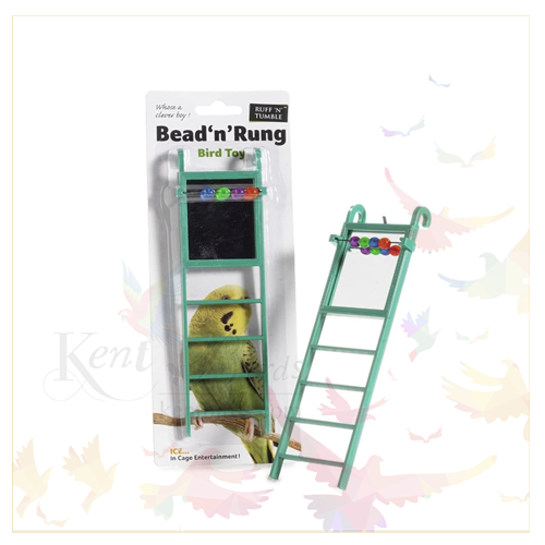 Quaker (Monk) Parakeet - Kentbirds