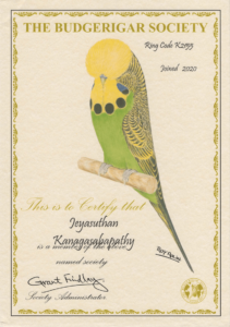 Kentbirds - Best Bird Breeder In London