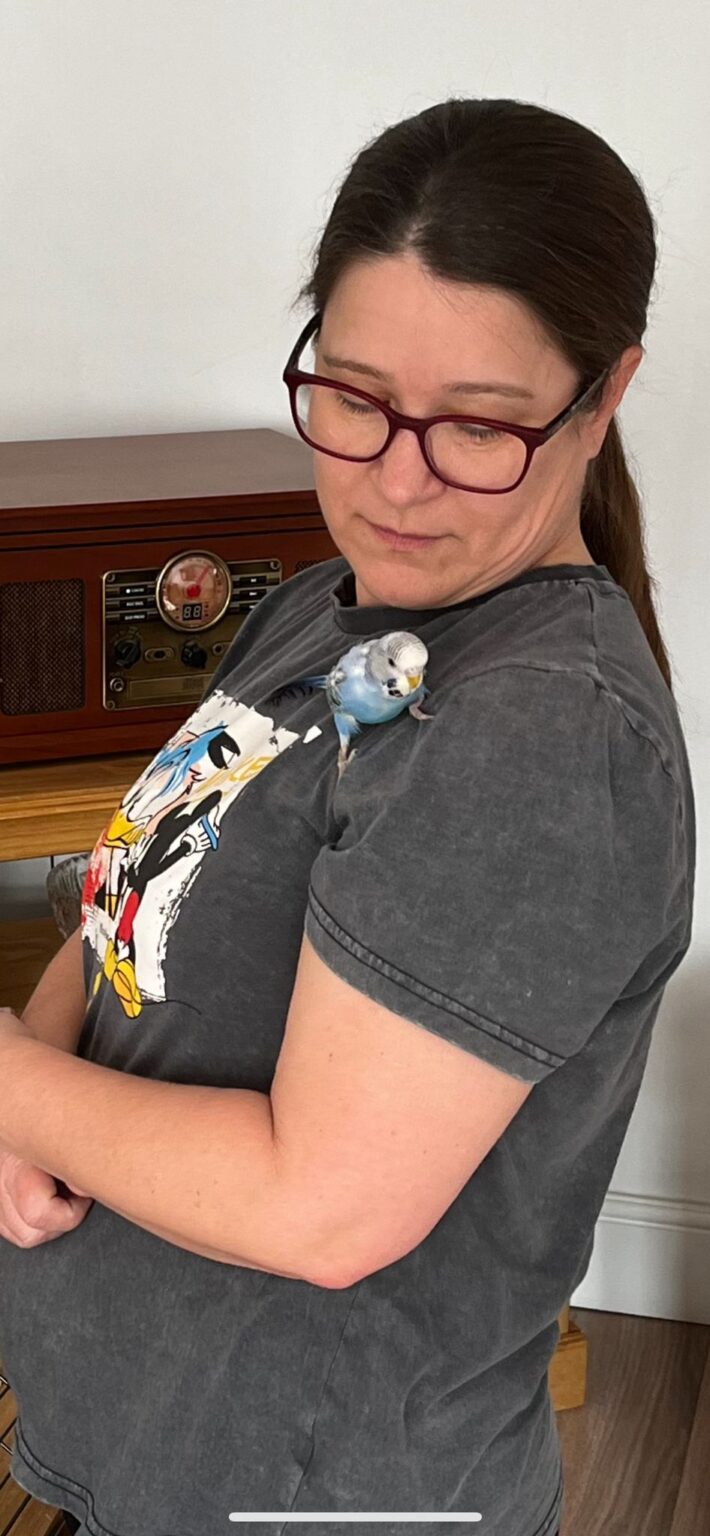 Kentbirds - Best Bird Breeder In London