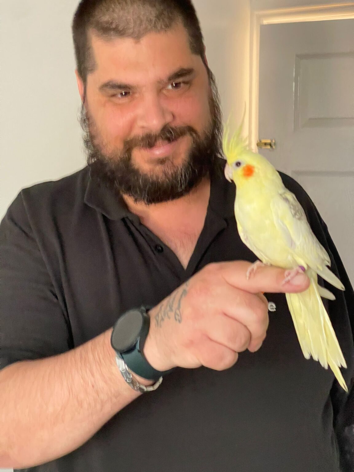 Kentbirds - Best Bird Breeder In London